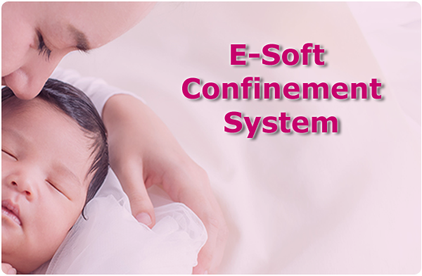 e-soft.com.my